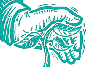 Marketing Literature and Branding for Corecare | Abrahams Creative